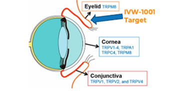 iView Therapeutics |Becoming a Leader in Ophthalmic Therapeutics|