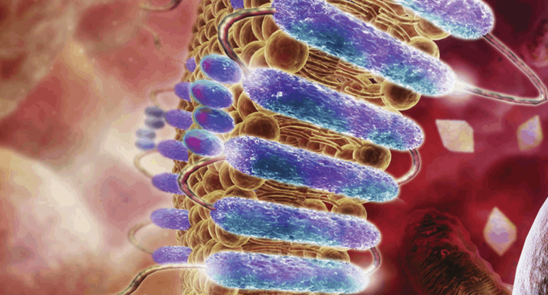 広範囲の神経感覚炎症性疾患の治療薬を開発する"Escient Pharmaceuticals"がSeries Cで$120Mを調達