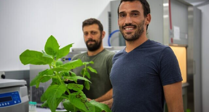 イスラエルの農業技術系スタートアップPigmentumが、牛を使わない牛乳とレタスから作るチーズで600万ドルを獲得