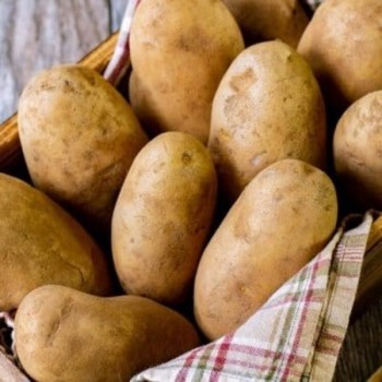 Pocket of Potatoes 10kg M-L/M | Farm Fresh Direct - Grocery Delivery ...