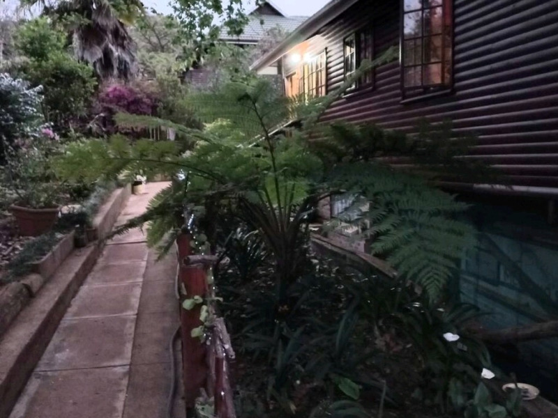 The Big Tree @ Sabie - Swop and Stay