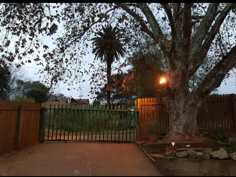 The Big Tree @ Sabie - Swop and Stay