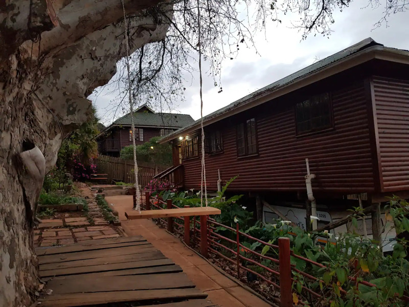 The Big Tree @ Sabie - Swop and Stay