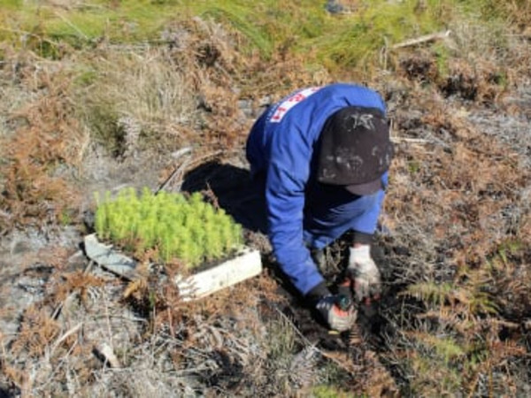 Video Galleries | Forsilvitech