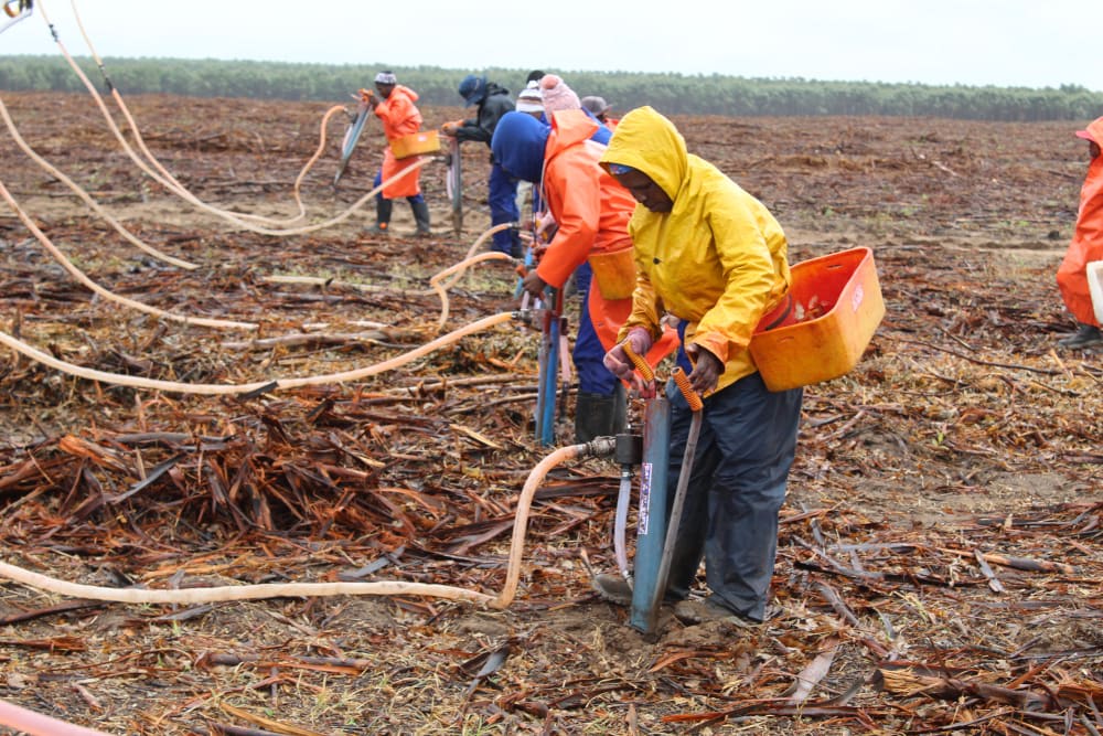 Forsilvitech - Disseminating concise & consolidated info on ...