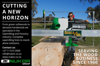 Zimbabwe's Tree of the year: The African Baobab | Zimbabwe Forestry ...