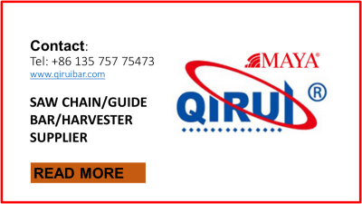 Zimbabwe's Tree of the year: The African Baobab | Zimbabwe Forestry ...