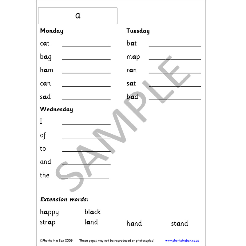 Grade 1 Phonic Workbook (Primary Font) - Phonix In A Box
