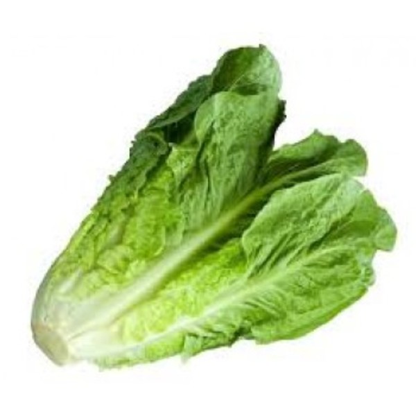 Green Frilly Lettuce Pack 150g | Farm Fresh Direct - Grocery Delivery ...