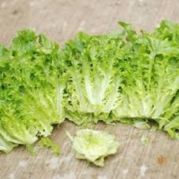 Red Frilly Lettuce 150g | Farm Fresh Direct - Grocery Delivery Garden Route