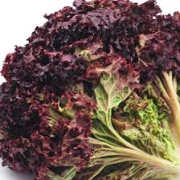 Red Frilly Lettuce 150g | Farm Fresh Direct - Grocery Delivery Garden Route
