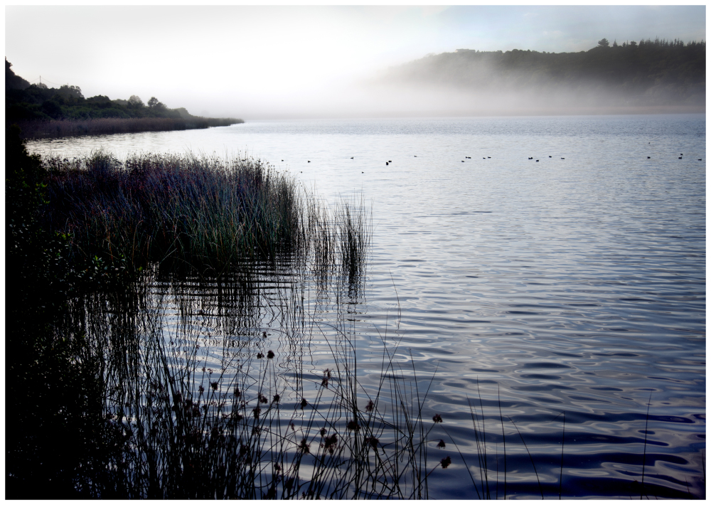 Leanette Botha - Artists Profile on Cape Palette