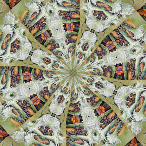 Thomas Vermeulen - Artists Profile on Cape Palette