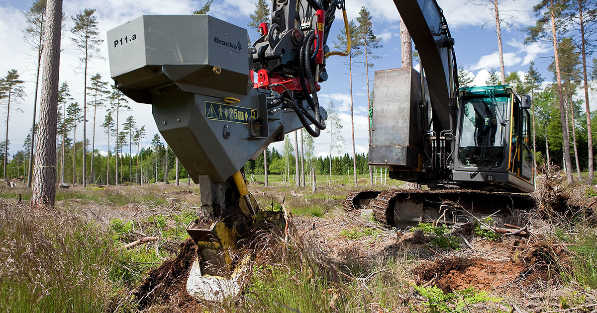 ForestTech 2020 conference | Forsilvitech
