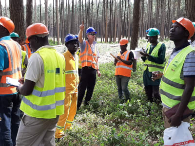 Mainstreaming small-scale growers | Zimbabwe Forestry Magazine