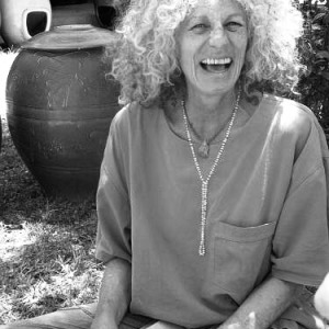 Lesley-Ann Hoets - Artists Profile on Cape Palette