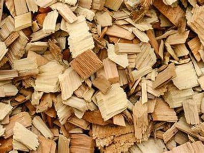 BUSINESS IS LOOKING UP FOR NCT DESPITE THE PANDEMIC | Zimbabwe Forestry ...