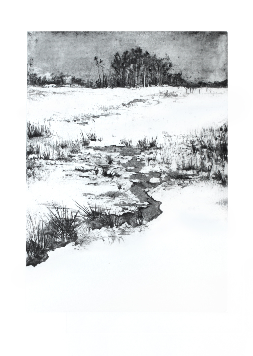 Art Gallery in Cape Palette, South Africa