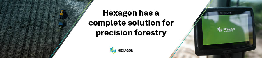 Mechanical delimbing using the advaligno PATAS machine | Forsilvitech