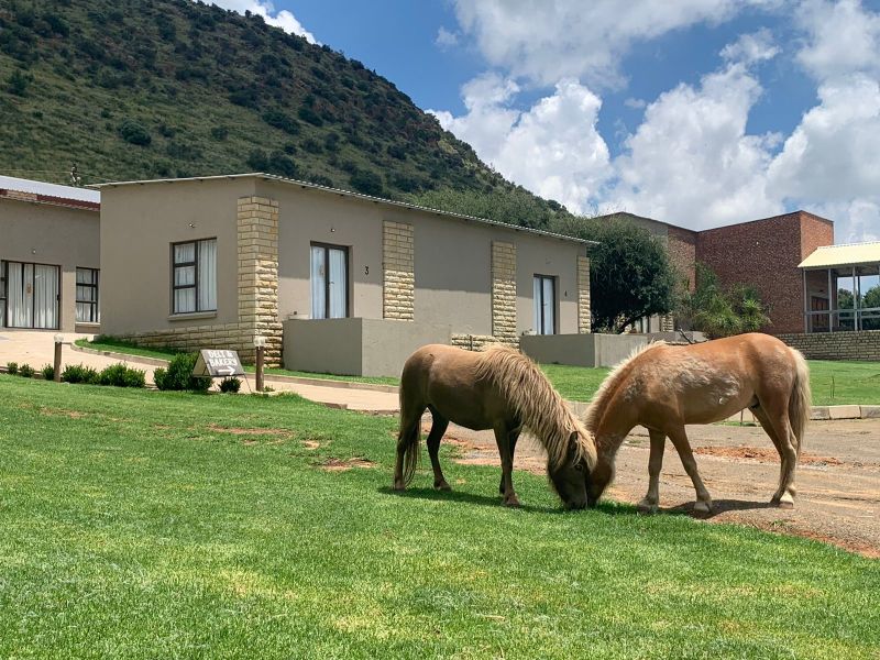 Lochs Hoek Farm - Swop and Stay