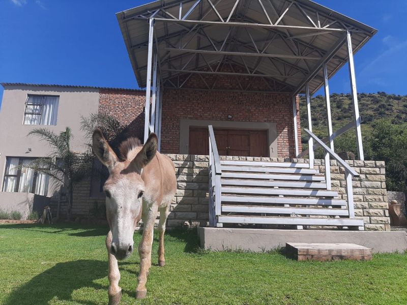 Lochs Hoek Farm - Swop and Stay