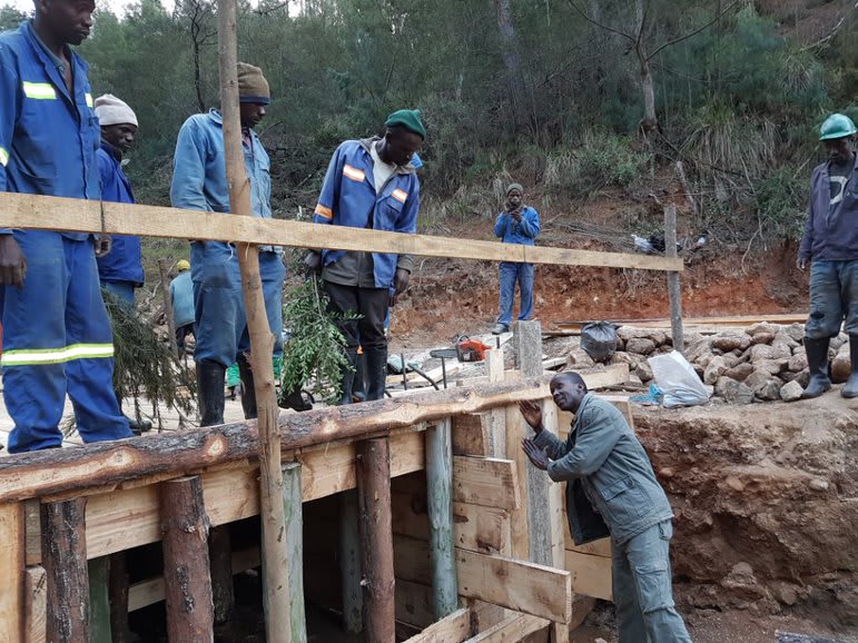 ZIMBABWEAN SAWMILLER SHOWS WAY TO SAWMILLING SUCCESS | Zimbabwe ...