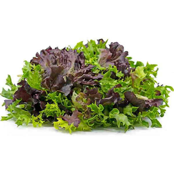 Mix Lettuce Pack 250g | Farm Fresh Direct - Grocery Delivery Garden Route