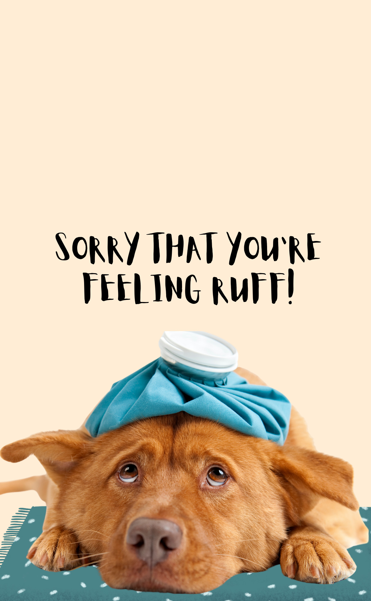 Create-A-Hamper - Make your own hamper - Online gift shops