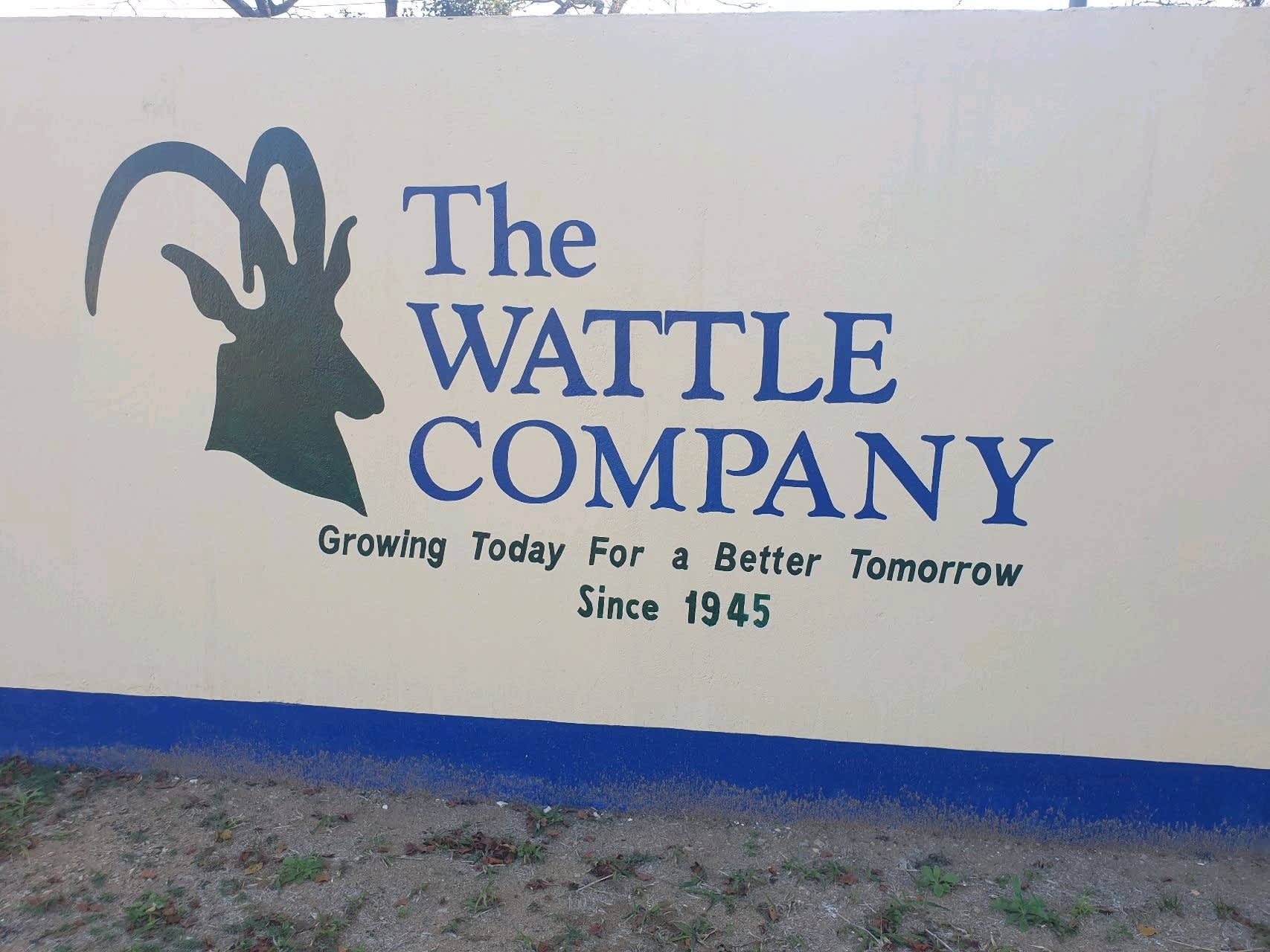 CMO HELPS RESTORE SUSTAINABILITY TO ZIMBABWE'S FORESTRY INDUSTRY ...