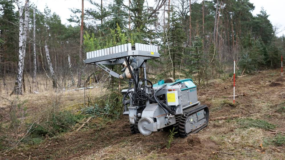 Moritz planting machine | Forsilvitech