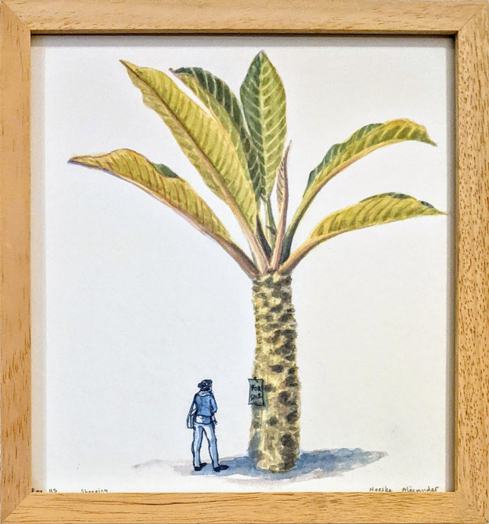 Cape Palette: Art Gallery and Picture Framing Studio, George, South Africa