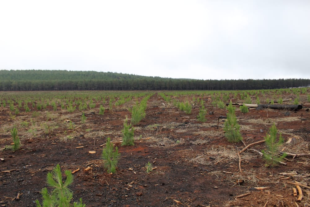 HxGN AgrOn Planting Assistant | Forsilvitech