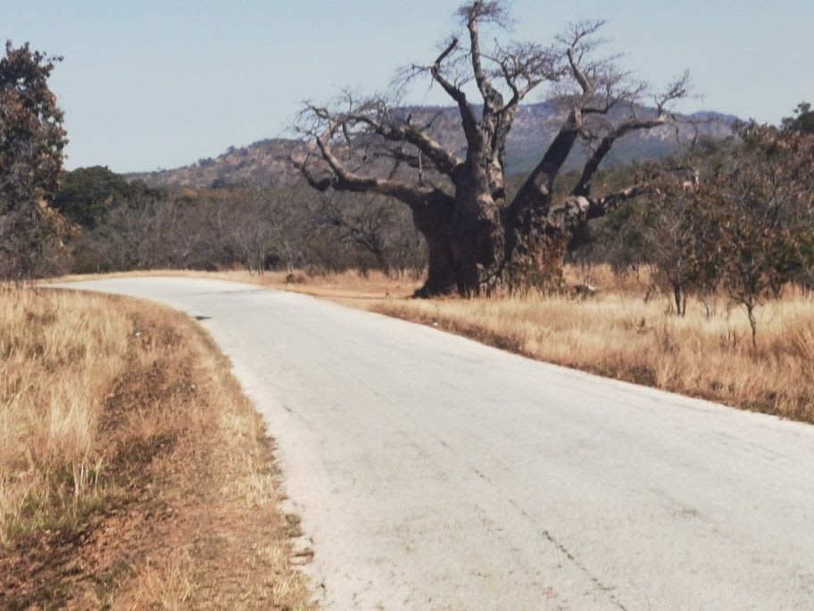 WALK4LIFE - NICK HOLME WALKS 800KM AROUND LAKE KARIBA | Zimbabwe ...