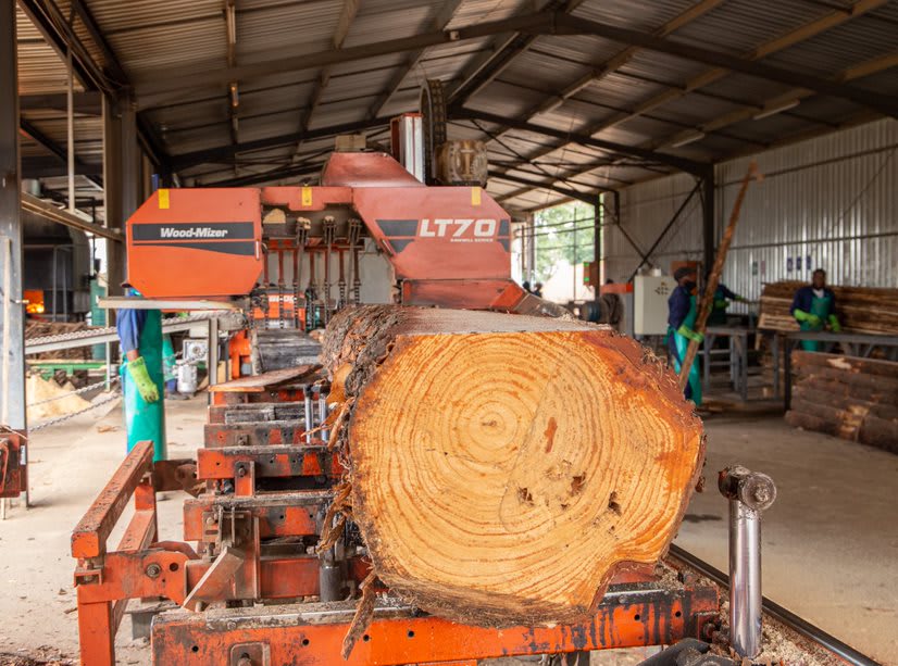 TREWIRGIE TIMBER BUILDS ON SUCCESS | Zimbabwe Forestry Magazine