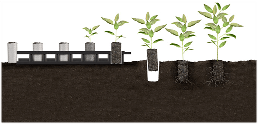 Ellepot & South African forestry nurseries look to the future ...