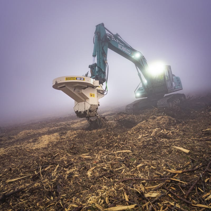 Digital Silviculture and Progress in Forestry | Forsilvitech