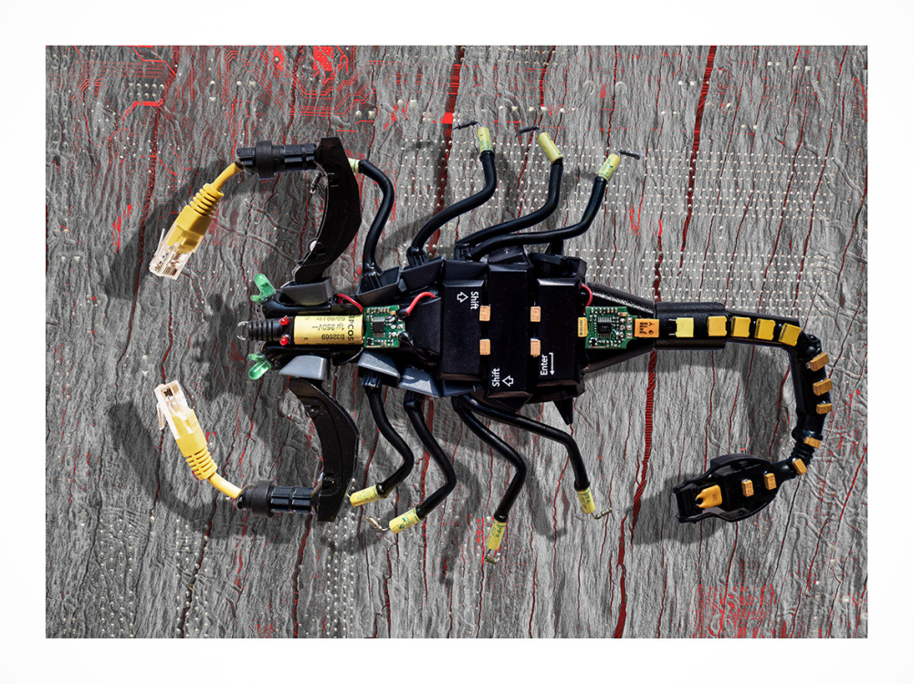 Art Gallery in Cape Palette, South Africa