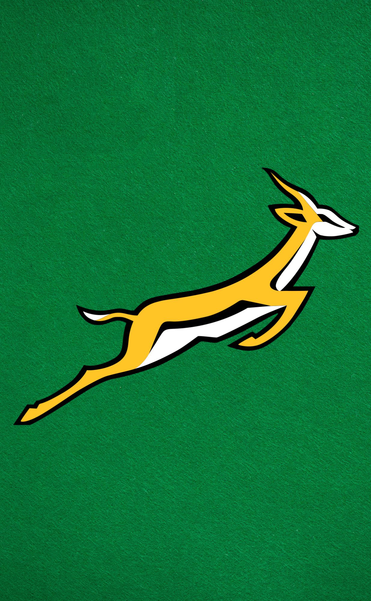 The Early Morning Bok Supporter - Gifts and Hampers - Online gift shop