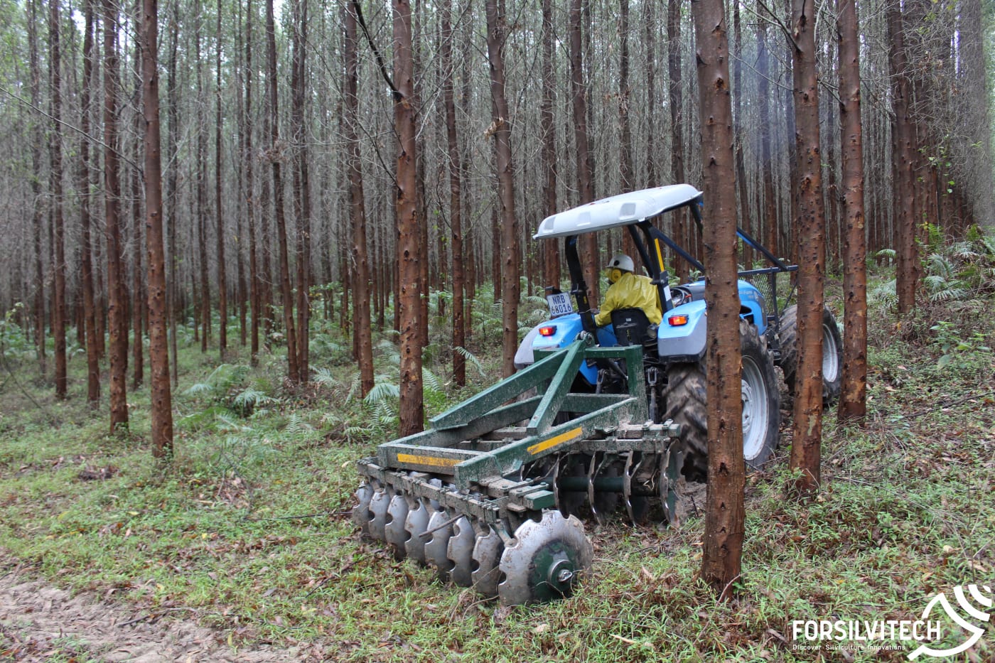 Non-chemical forestry weeding technologies | Forsilvitech