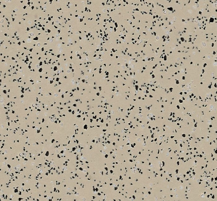 Polysafe Standard PUR - Absolute Flooring, South Africa