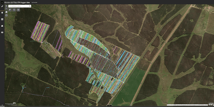 Mapping of manual tree planting in forestry | Forsilvitech