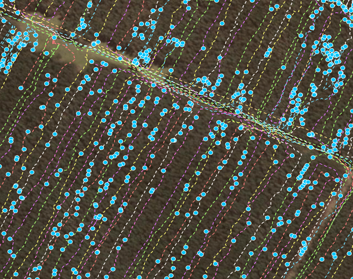 Mapping of manual tree planting in forestry | Forsilvitech