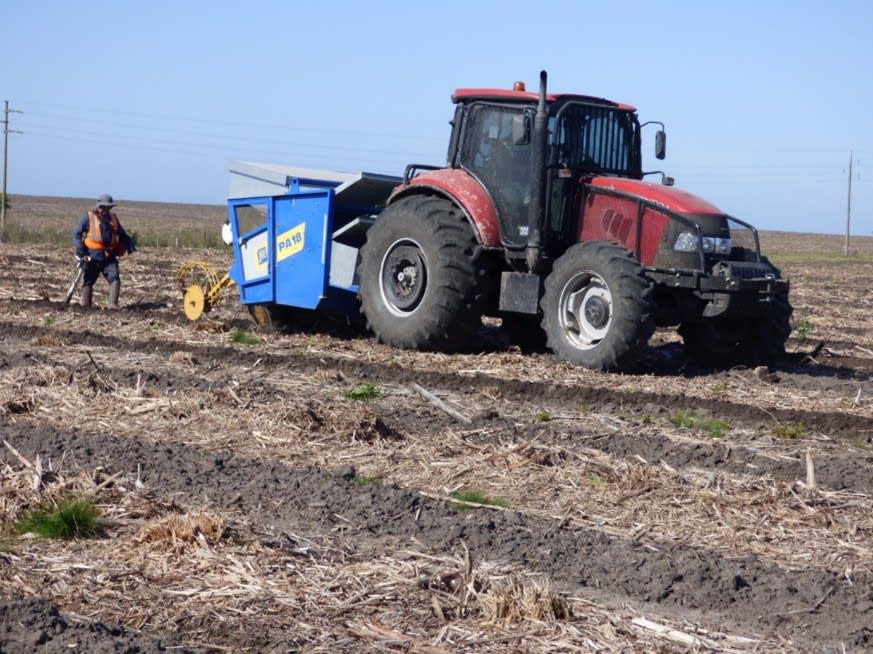 Mapping of manual tree planting in forestry | Forsilvitech