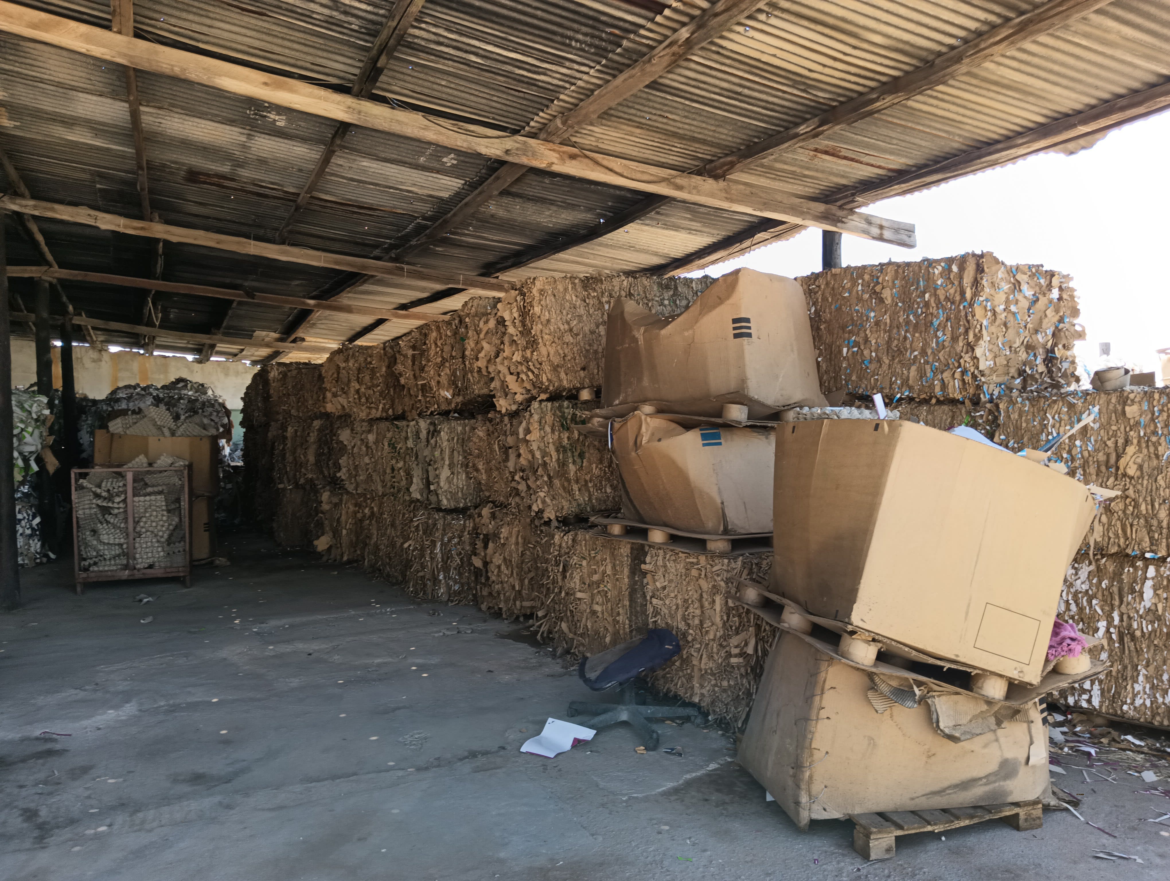 HUNYANI FORESTS BOUNCES BACK WITH AN ‘EGG-CELLENT’ BUSINESS MODEL ...