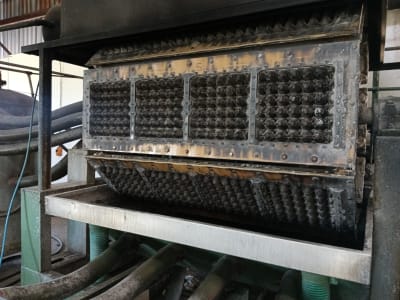 HUNYANI FORESTS BOUNCES BACK WITH AN ‘EGG-CELLENT’ BUSINESS MODEL ...