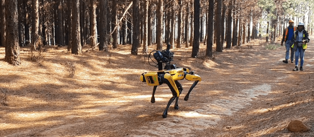 Enhanced Forest Stand Assessment through LiDAR Technology | Forsilvitech