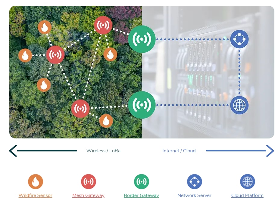 Dryad brings Silvanet AI for Ultra-Early Detection of Wildfires | Forsilvitech