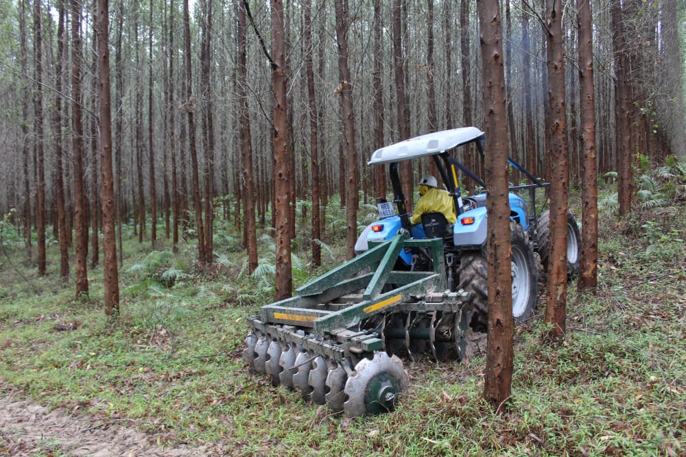 Disc harrowing for fuel load management in eucalyptus stands | Forsilvitech