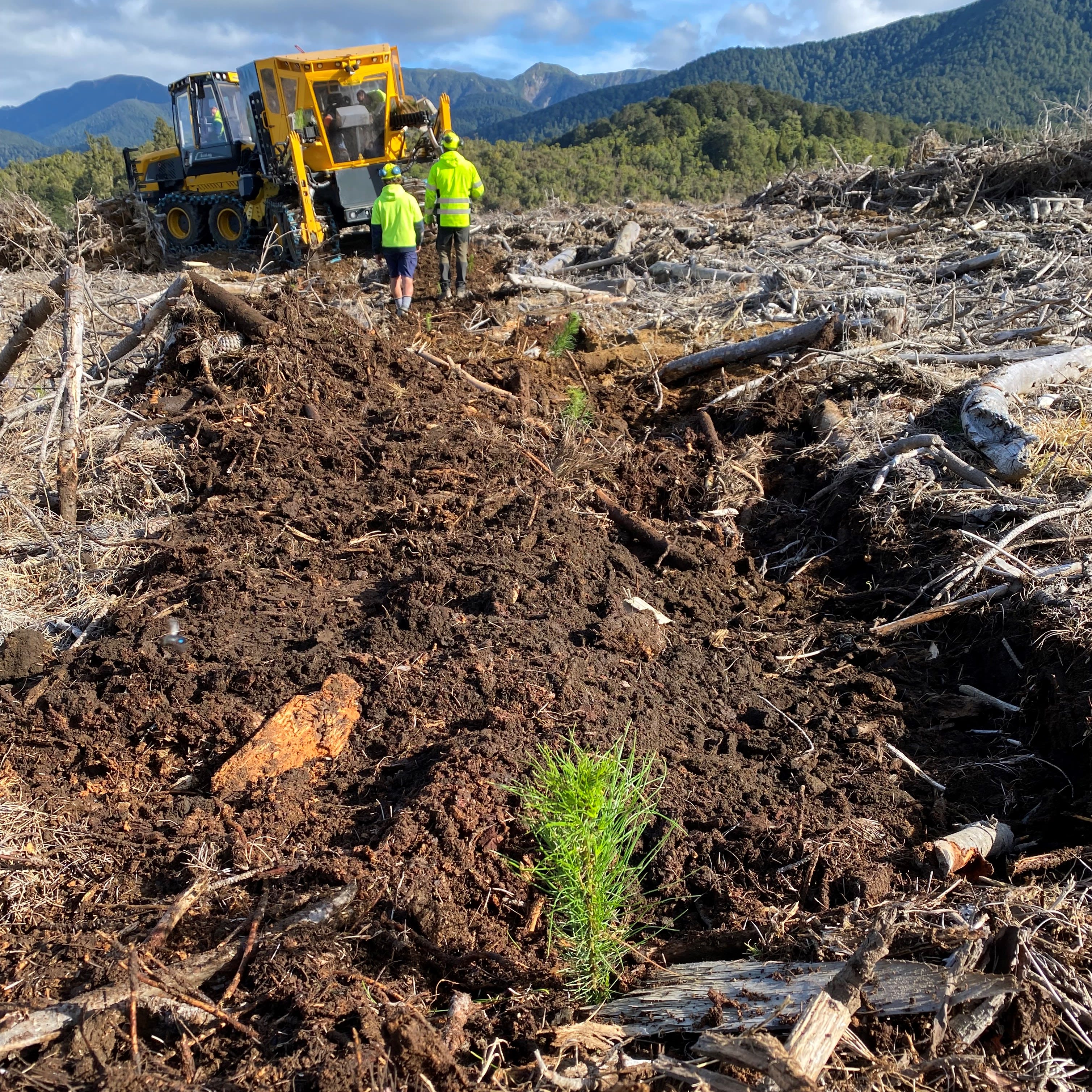 An Insight into Precision Forestry in New Zealand | Forsilvitech