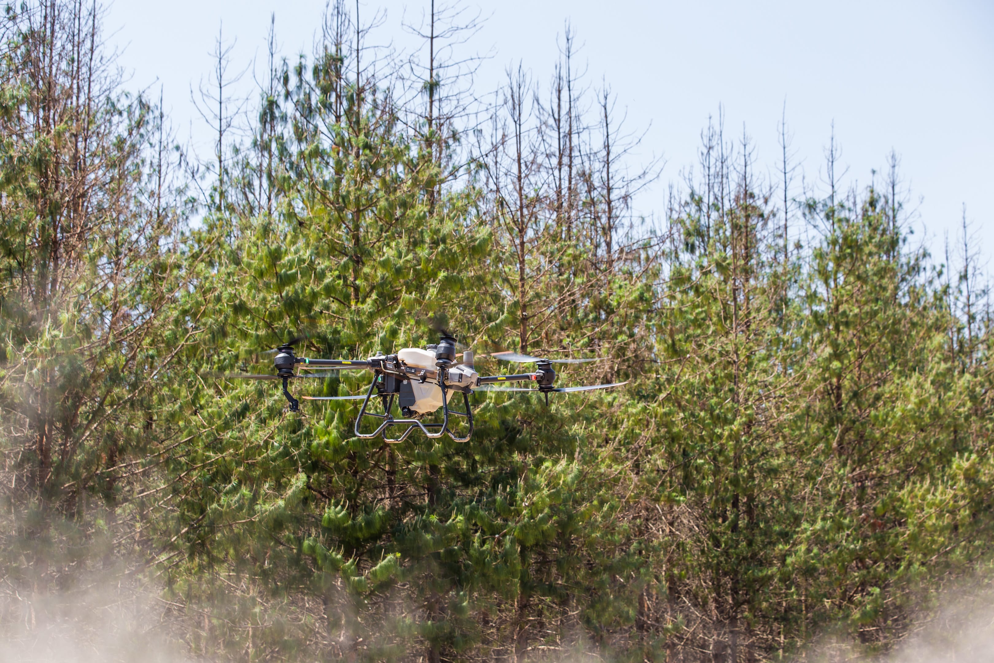 Monitoring and spraying with the DJI Agras T50 | Forsilvitech